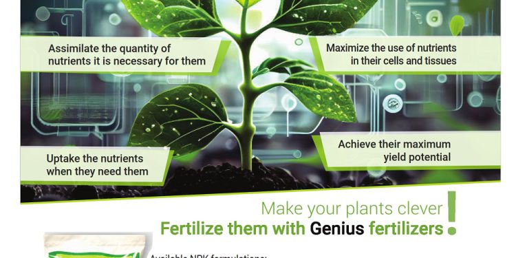 GENIUS: DISCOVER THE FERTILIZERS THAT MAKE PLANTS CLEVER IN NUTRIENT ...