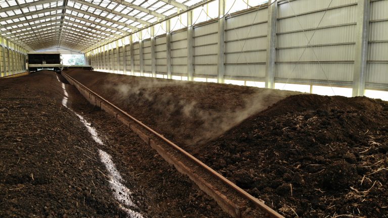 Can Composting Succeed in Hot, Dry Climates? – Livestock & Poultry ...
