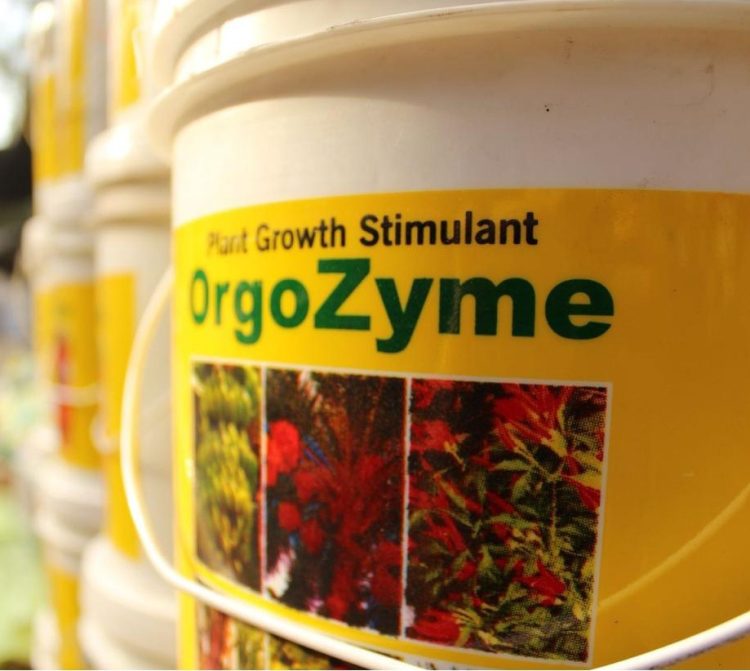 NICO ORGO MANURES: PIONEERING SUSTAINABLE AGRICULTURE THROUGH ...
