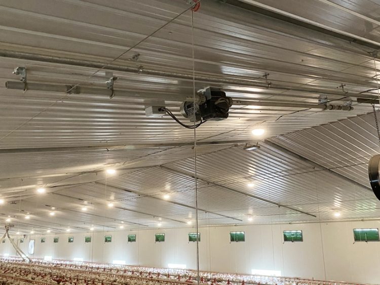 Ridder Drive Systems for Livestock and Crop Storage - Gulf Agriculture