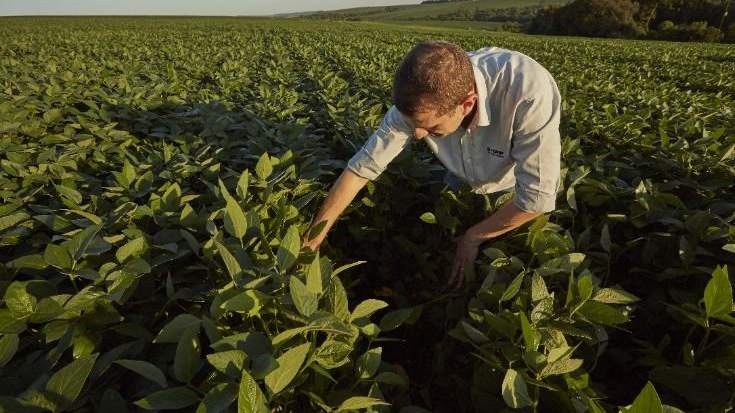 BASF Agricultural Solutions To Acquire Biological Insect Control Group ...